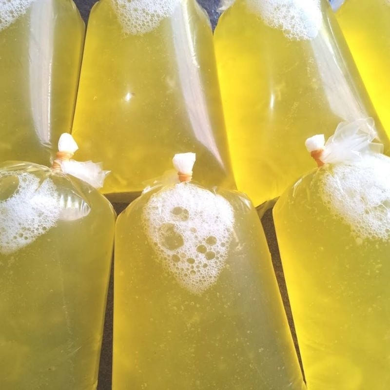 Jual PUTIH TELUR MENTAH 1PAC | Shopee Indonesia