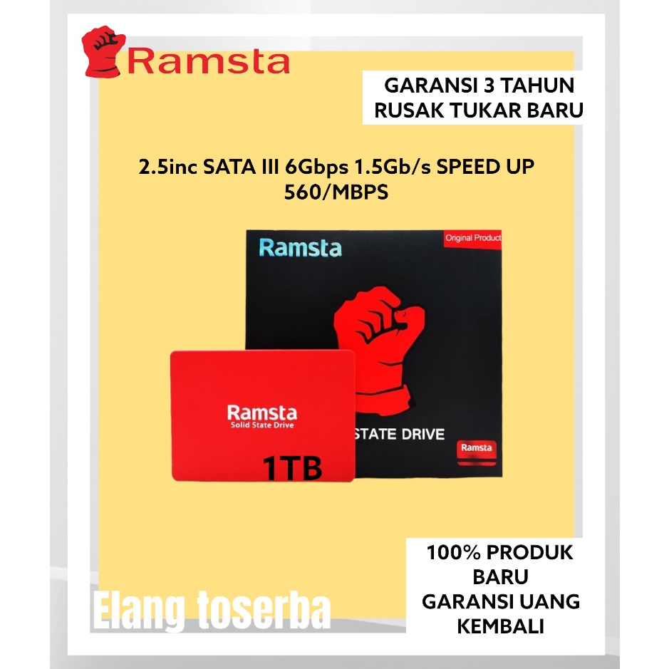 Jual SSD RAMSTA 1TB SATA III 2.5inch S800 SSD | Shopee Indonesia