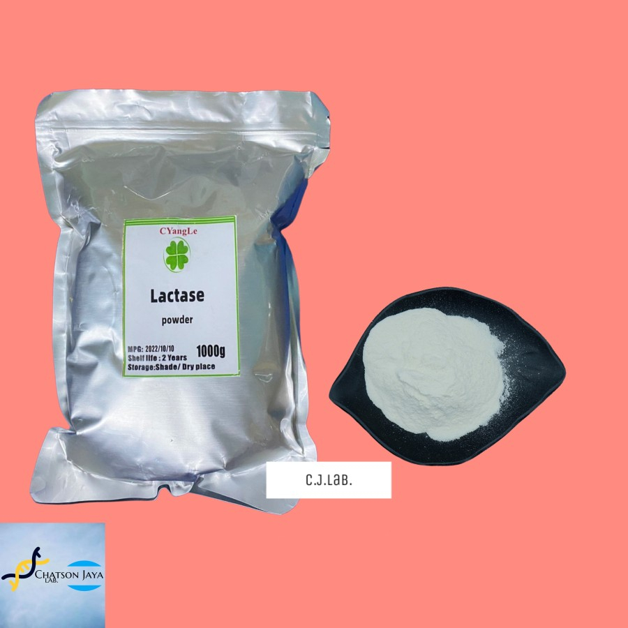 Jual Enzim Laktase Powder 100gram Food Grade/ Lactase Enzyme Powder ...