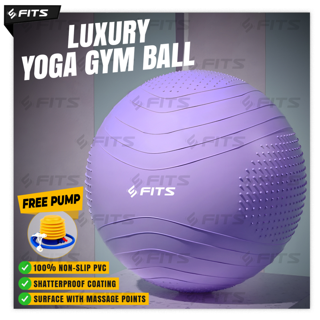 Jual SFIDN FITS Luxury Yoga Gym Ball Anti Slip & Burst Bola Fitness ...