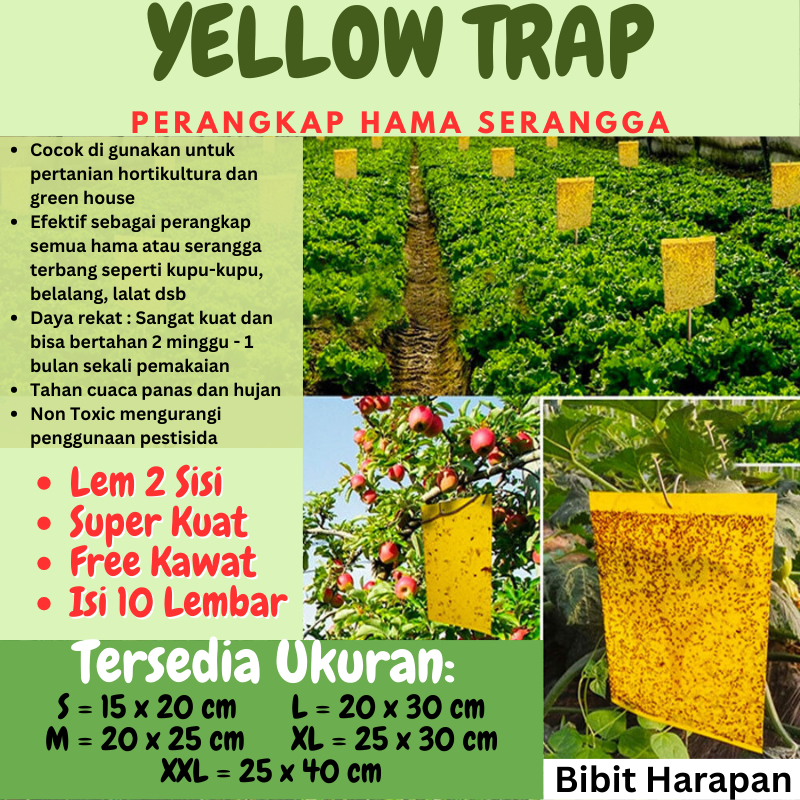 Jual Yellow Trap Perangkap Lem Lalat Buah Kertas Hama Serangga Tanaman ...