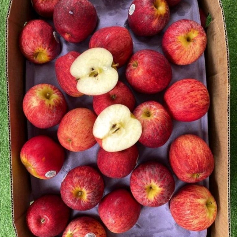 Jual Buah Apel Royal Gala Fresh / 1Kg | Shopee Indonesia