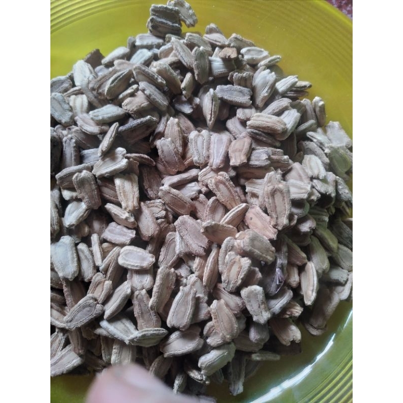 Jual benih labu air panjang paket 1 kg | Shopee Indonesia