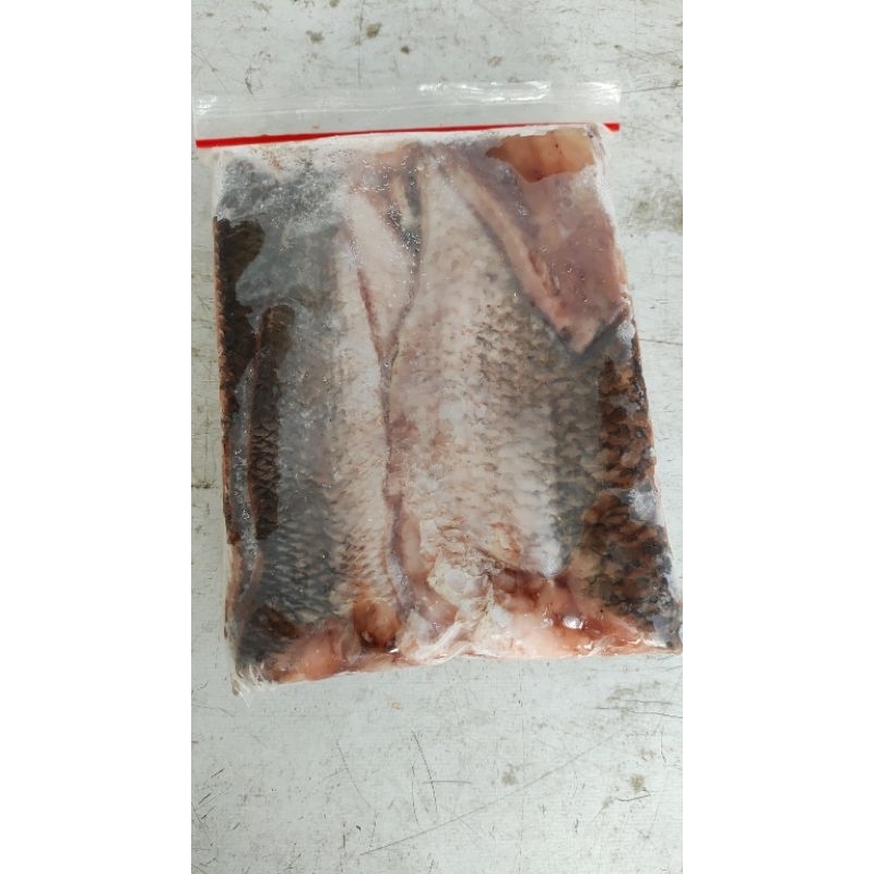 Jual gabus fillet kemasan 500gr/pack | Shopee Indonesia