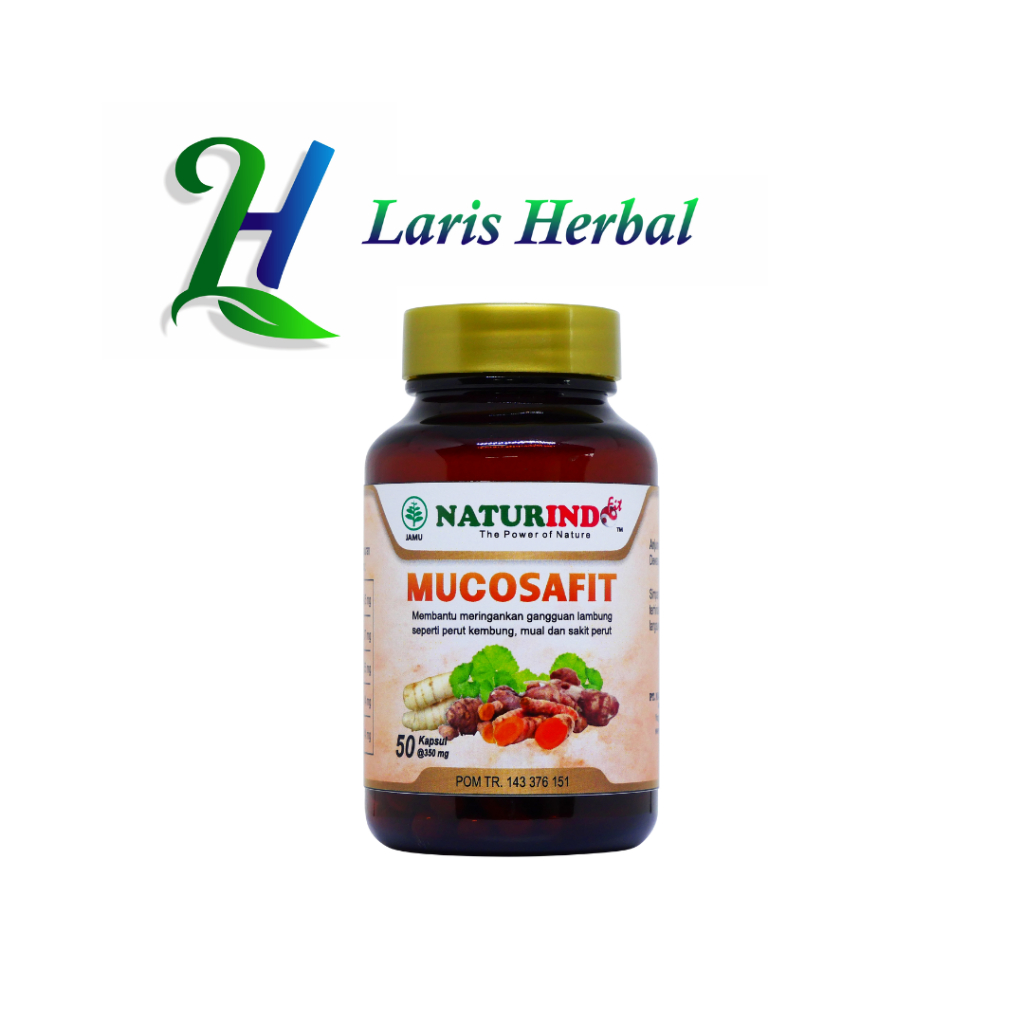 Jual Obat Asam Lambung Maag Gerd Gastritis Dispepsia Mual Mules Herbal ...