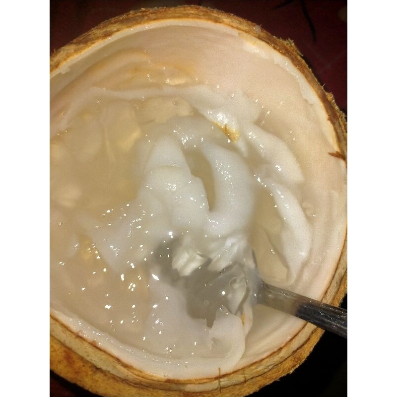 Jual DEGAN JELLY ( READY STOCK ) | Shopee Indonesia