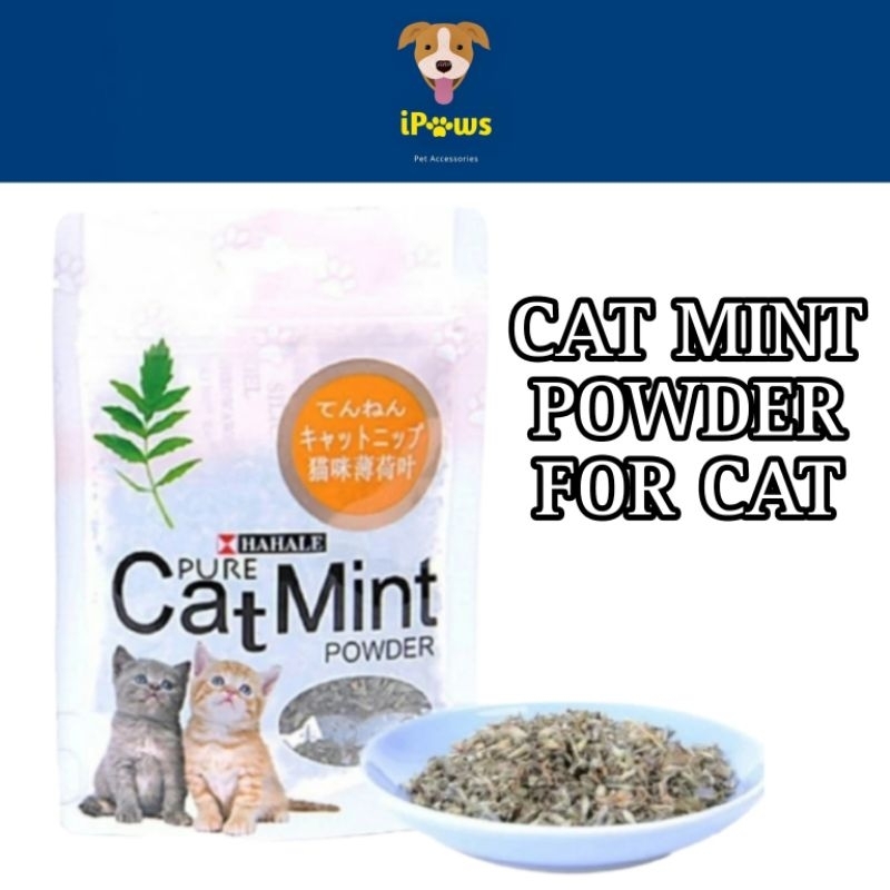 Jual CAT MINT POWDER 5gram - Catnip Untuk Kucing / CAT MINT POWDER PURE ...