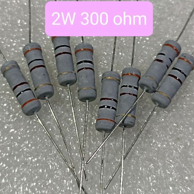 Jual 10BUAH RESISTOR 2WATT 300 OHM 2 WATT 300 OHM 2W 300ohm | Shopee ...