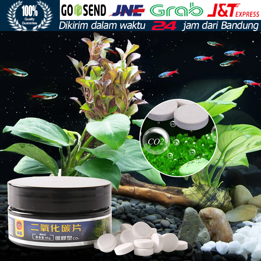 Jual Tablet CO2 / Tablet CO2 Efervesen / Pupuk Untuk Tanaman Air / Tablet Karbon Dioksida ...