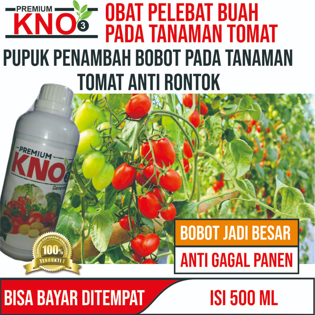 Jual Pupuk Pelebat Buah Tomat Agar Berbuah Lebat Dan Besar - Pupuk Semprot Organik Peebat ...