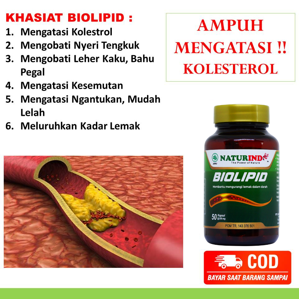 Jual Obat Kolestrol Cholesterol Lemak Darah BIOLIPID NATURINDO | Shopee ...