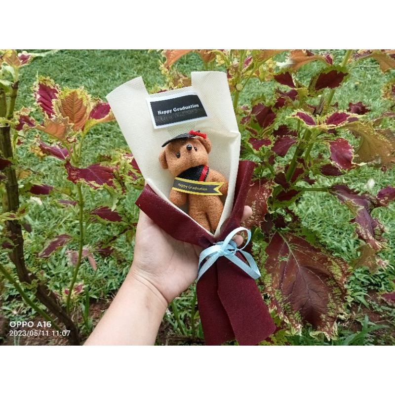 Jual buket boneka wisuda / wisuda / Boneka / Buket mini | Shopee Indonesia