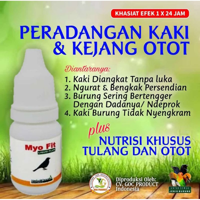 Jual MYO FIT Obat untuk kaki burung ngurat bengkak kaki diangkat ...
