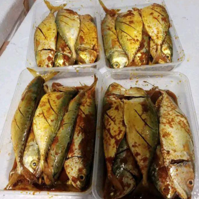 Jual Ikan Kembung Bumbu Kuning Marinasi Frozen Tinggal Goreng | Shopee ...