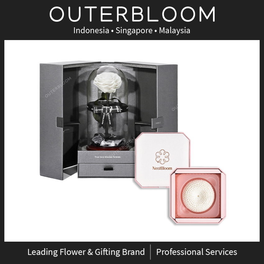 Jual Outerbloom x Nestbloom The Novo Enchanted NestBloom Gift Box | Shopee Indonesia