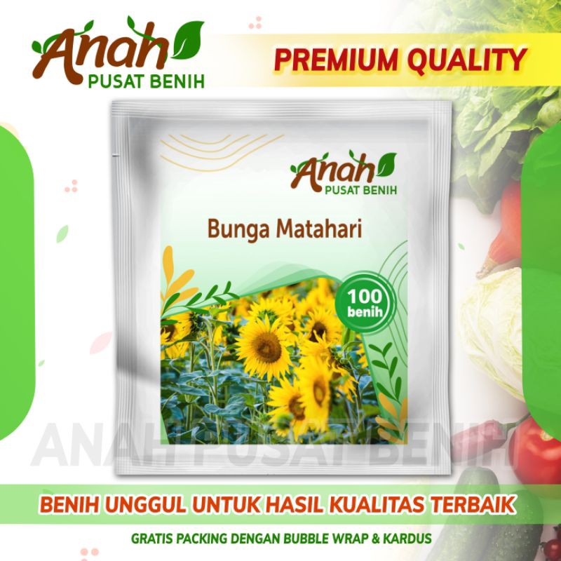 Jual 100 Biji Benih Bunga Matahari / biji bunga matahari / Bibit bunga | Shopee Indonesia