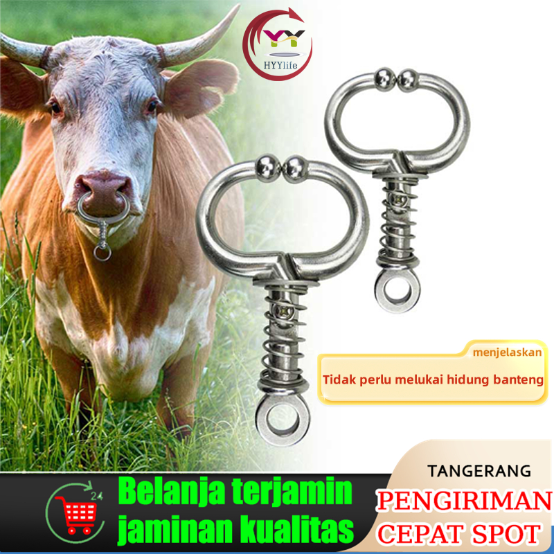 Jual 1 Buah Tang Hidung Musim Semi Otomatis Sapi Penjepit Hidung ...