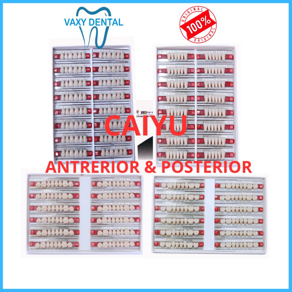 Jual Gigi Caiyu 1 box / 1 kotak Depan dan Geraham, atas dan bawah ...