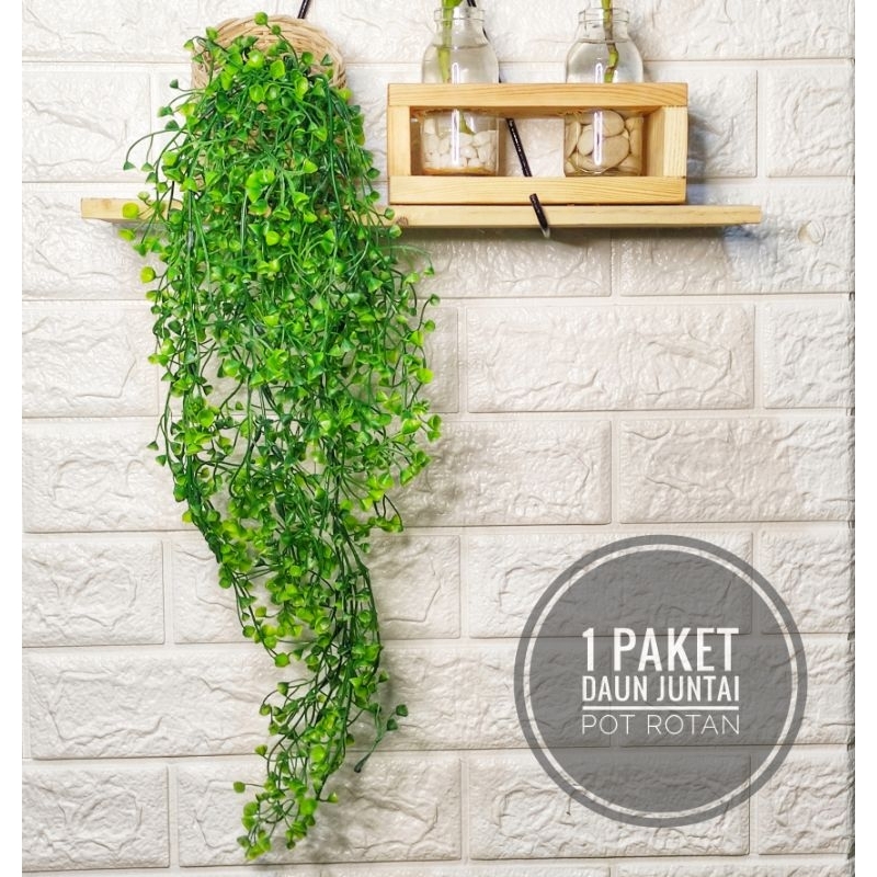Jual 1 Set Pot + Anggrek Juntai plastik / Hiasan Dinding Daun Rambat ...