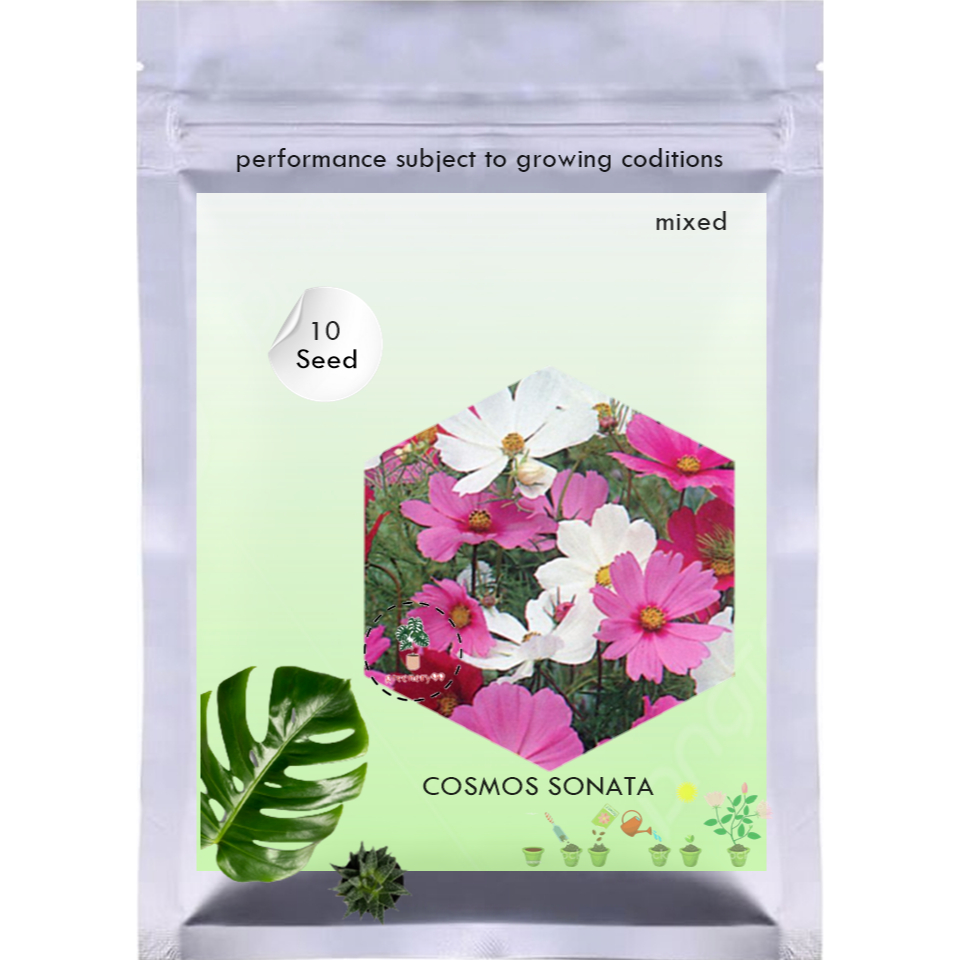 Jual 10 Benih COSMOS SONATA Mix Biji Bunga | Shopee Indonesia