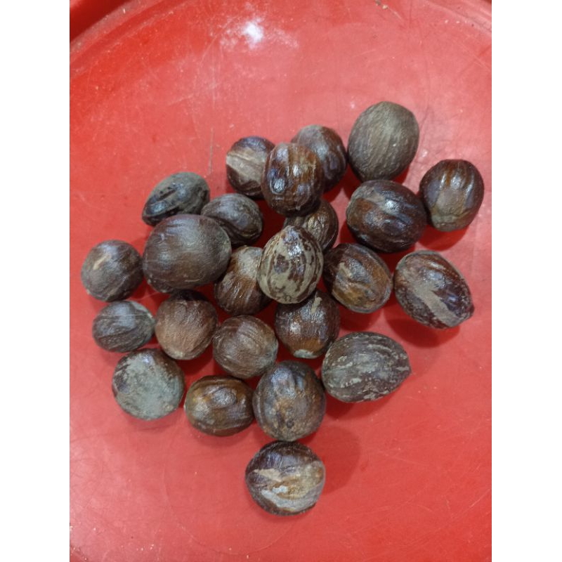 Jual Biji Pala Kering, 100 g | Shopee Indonesia