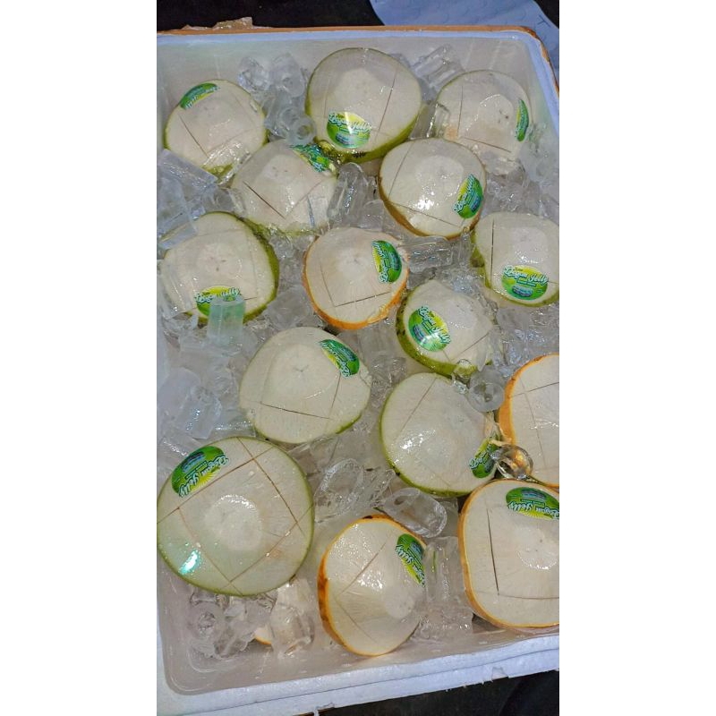 Jual Degan Jelly segar Asli tanpa campuran pemanis buatan | Shopee ...