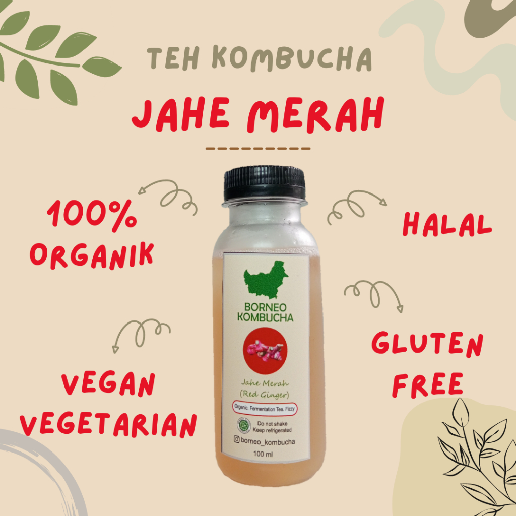Jual BORNEO KOMBUCHA JAHE MERAH ORGANIK HALAL 100 mL | Shopee Indonesia