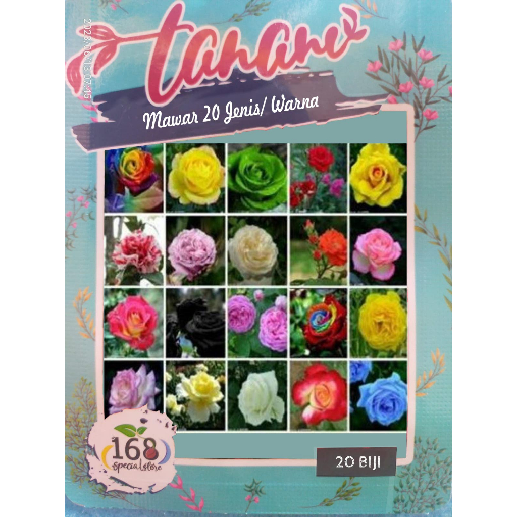 Jual Benih Bibit Biji Bunga Mawar 20 Warna (1 Pieces / Color) | Shopee ...