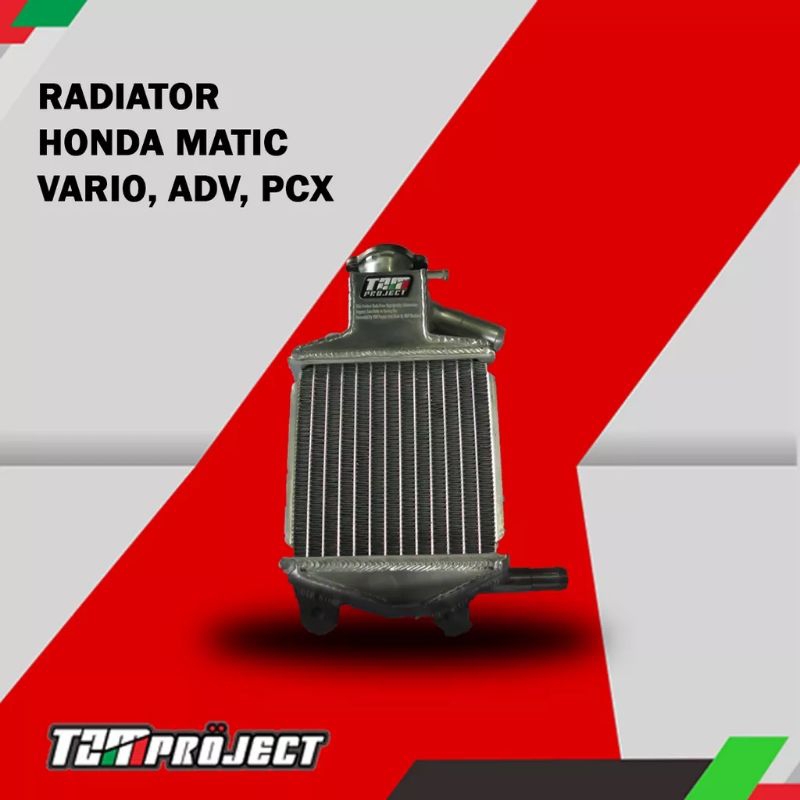 Jual BIG RADIATOR TZM PROJECT FULL ALUMINIUM BY BRD HONDA PCX AVD VARIO ...