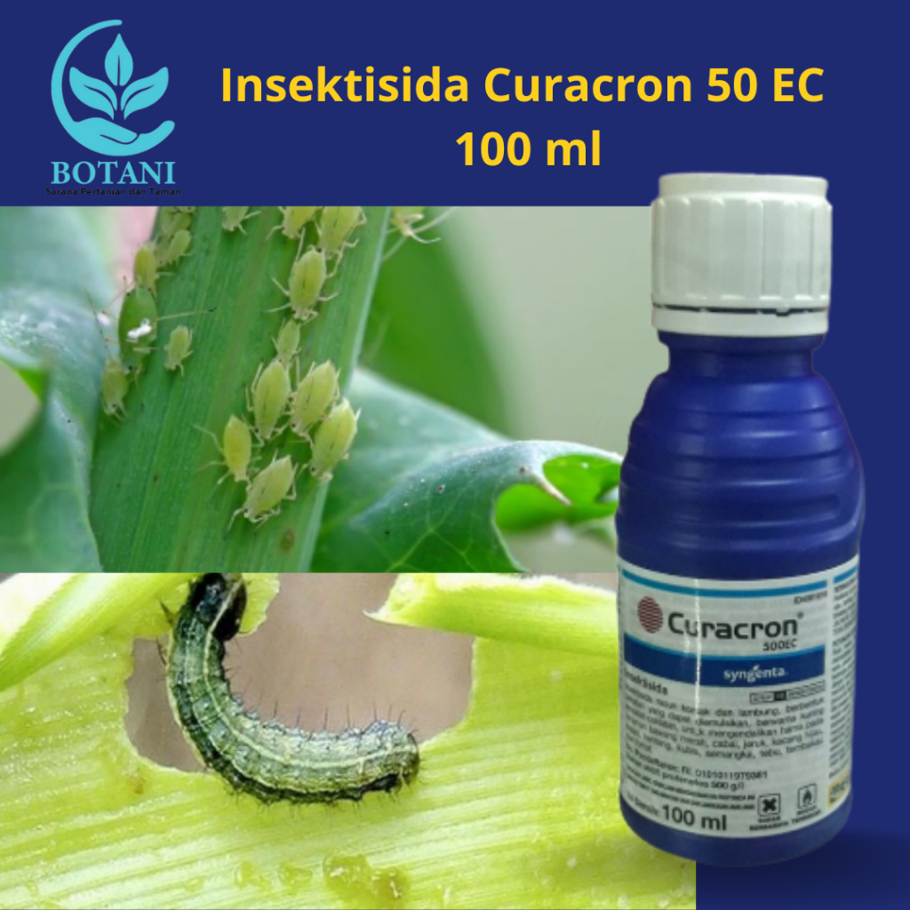 Jual Insektisida Curacron 50 EC Original 100 ml | Shopee Indonesia