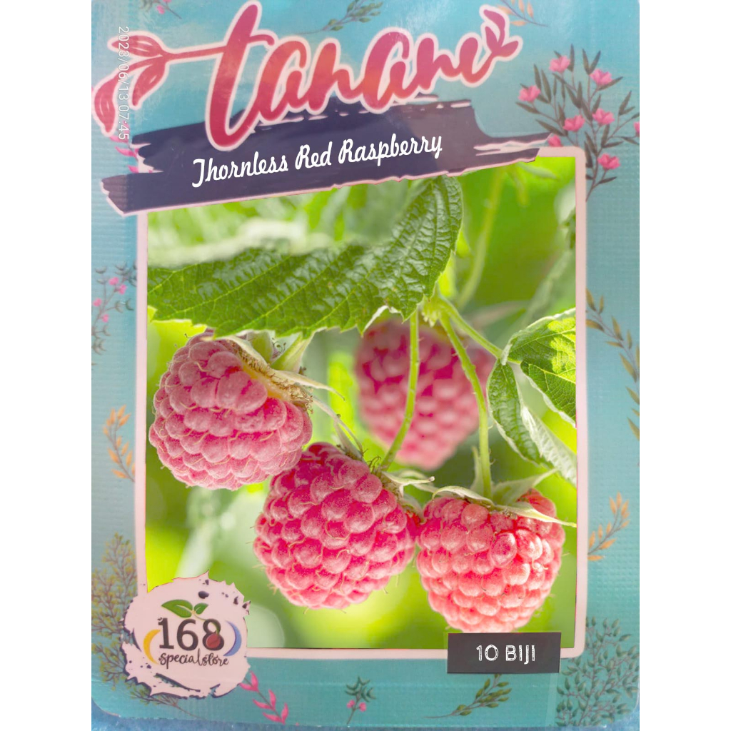 Jual Biji Buah Raspberry Thornless Red Raspberry Fruits Seeds (Isi 10 ...