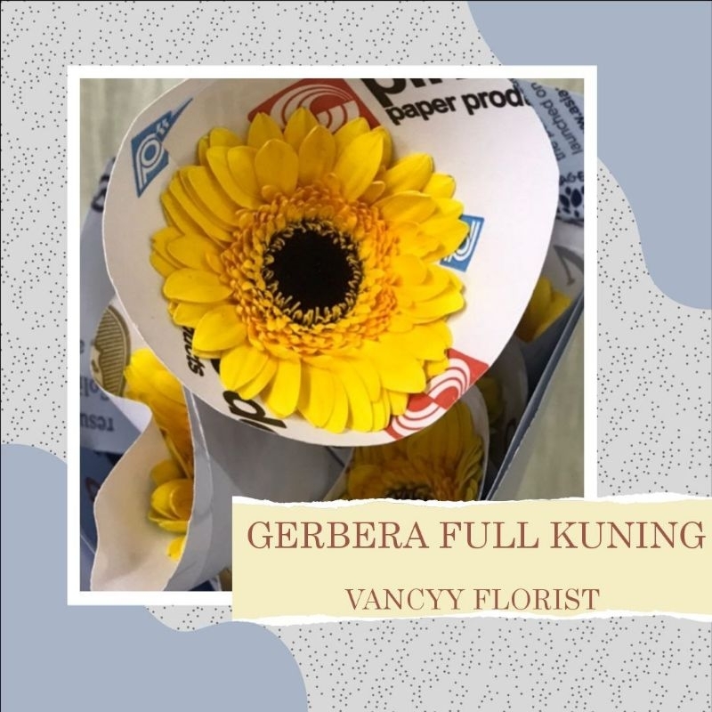 Jual Bunga Gerbera Kuning Potong Fresh Pertangkai / Bunga Potong Fresh ...