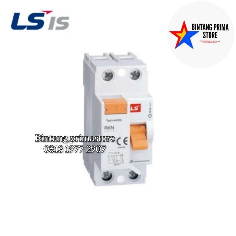 Jual RCCB / ELCB 2P 25A - 63A RKN 1P+N 30mA / 100Ma / 300mA LS Electric | Shopee Indonesia