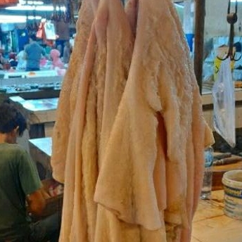 Jual Babat Handuk Putih Sapi 500gr - 1kg | Shopee Indonesia