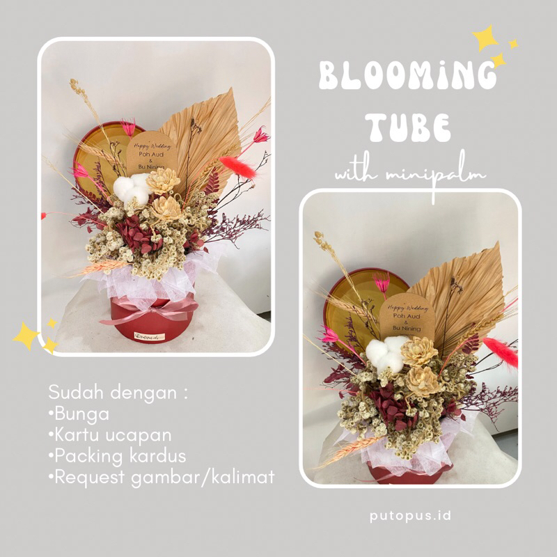 Jual BLOOMING TUBE / BUNGA KERING / KADO HADIAH WISUDA WEDDING NIKAH ...