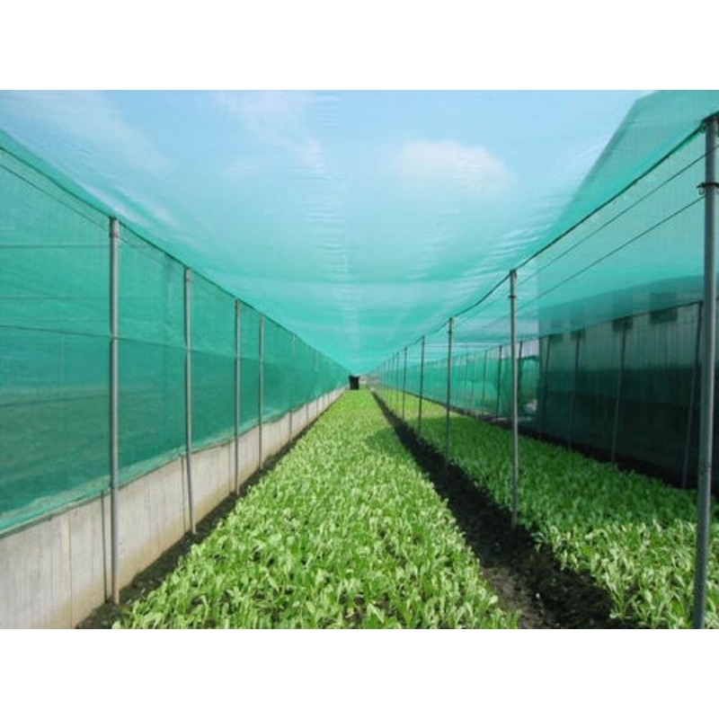 Jual Insect net/kasa hijau/kasa putih lebar 2m orisinil | Shopee Indonesia Jual Insect net/kasa hijau/kasa putih lebar 2m orisinil | Shopee Indonesia