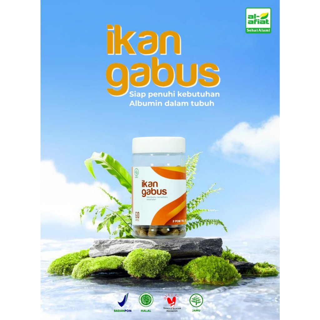 Jual kapsul ikan gabus al afiat 60 kapsul | ikan kutuk Mempercepat ...