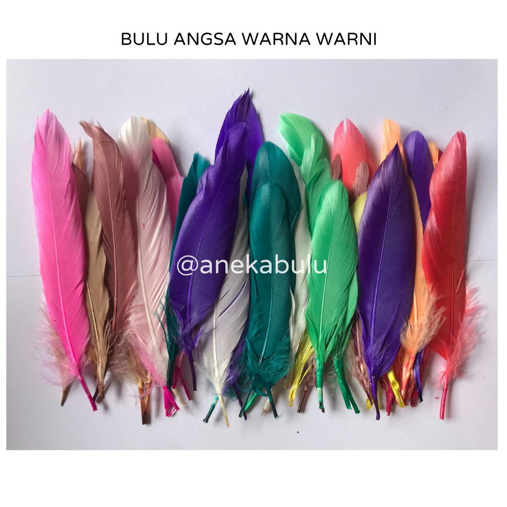 Jual BULU ANGSA WARNA PUTIH PANJANG - AKSESORIS WANITA ANTING MURAH ...