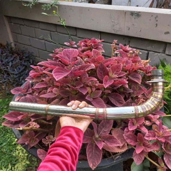 Jual leheran knalpot motor sleep engine pipa besar 32mm astrea grand ...