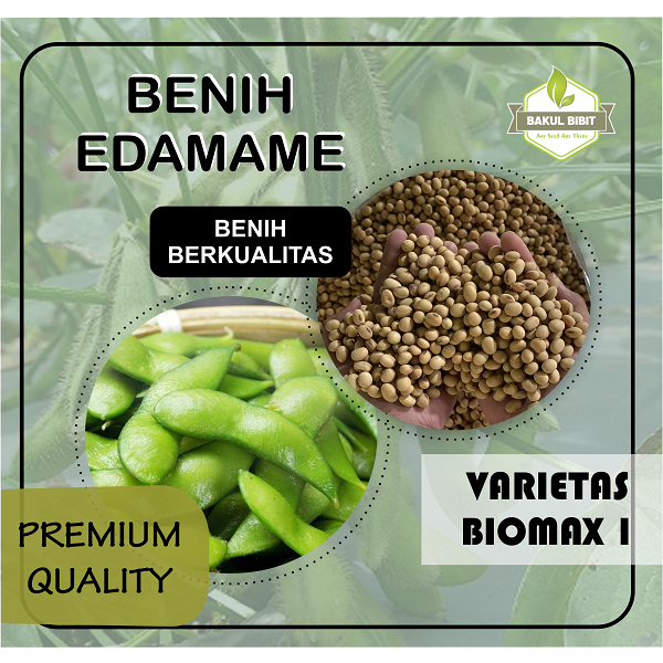 Jual Benih Edamame Berkualitas Berat per 1 kg | Shopee Indonesia