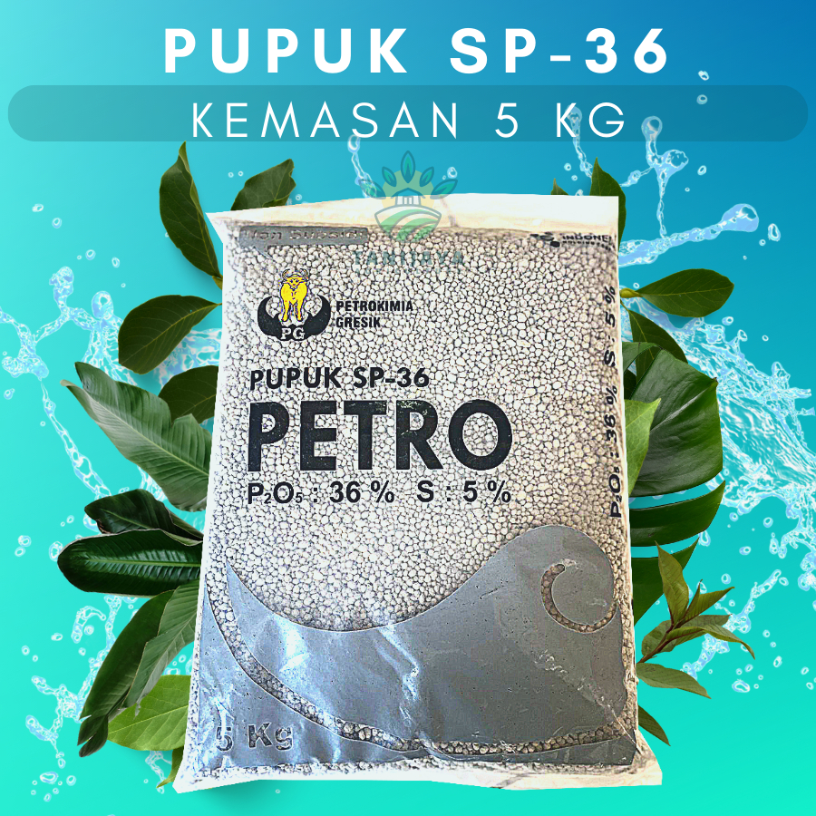 Jual Pupuk SP-36 PETRO Original Kemasan Repack 5 KG Murah Penambah ...