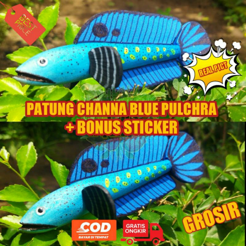 Jual Patung Channa Blue Pulchra + Bonus Sticker | Shopee Indonesia