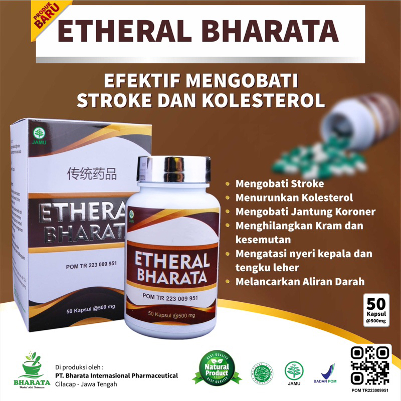Jual OBAT STROKE - OBAT STRUK - Etheral Bharata - Obat Stroke Herbal ...