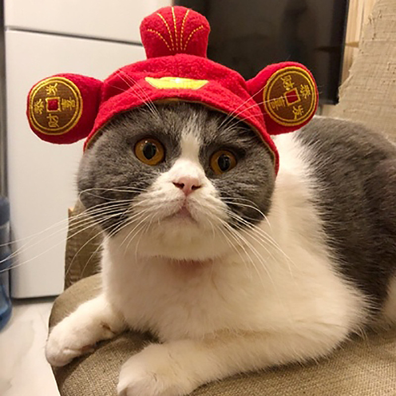 Jual KOSTUM CHINESE HAT - Kostum Topi Hewan Kucing Anjing Lucu Unik ...