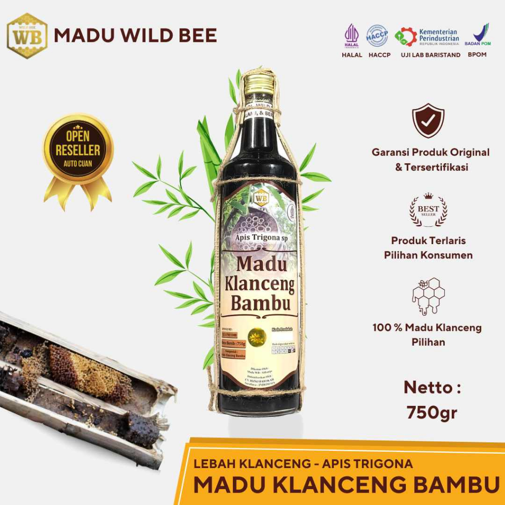 Jual [ORIGINAL] MADU KLANCENG BAMBU TANPA CAMPURAN /Madu murni & madu ...