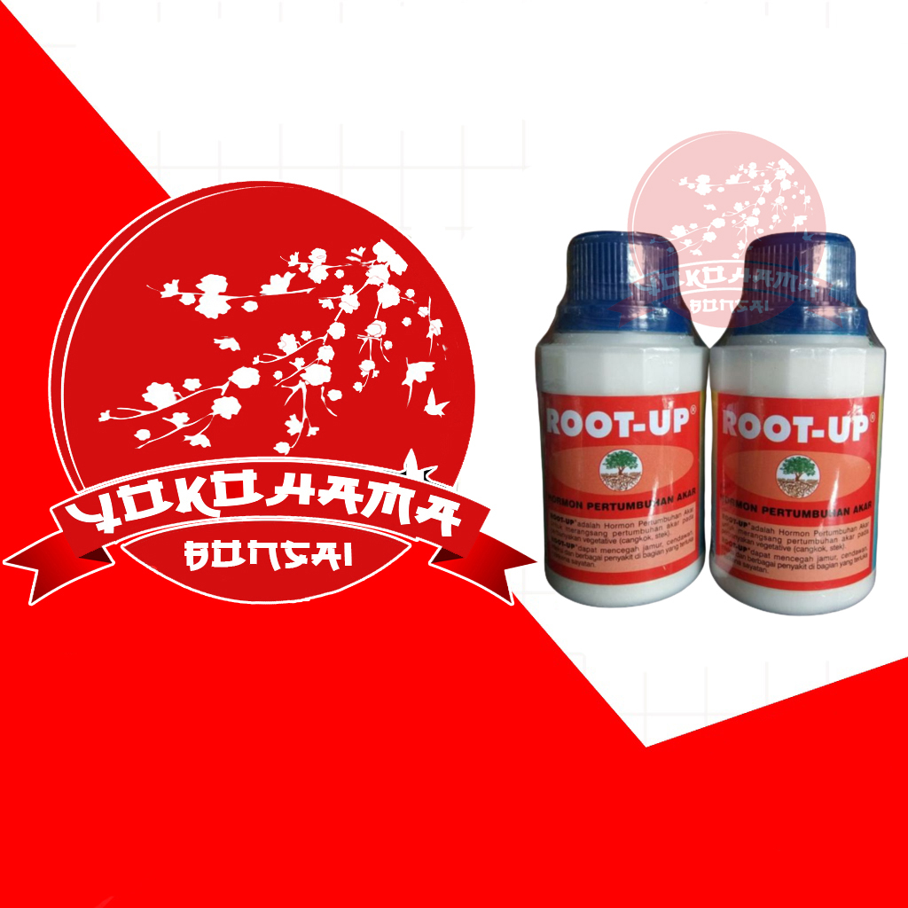 Jual YOKOHAMA BONSAI - ROOT UP HORMON AKAR 100 GRAM | ROOT UP | ZPT ...