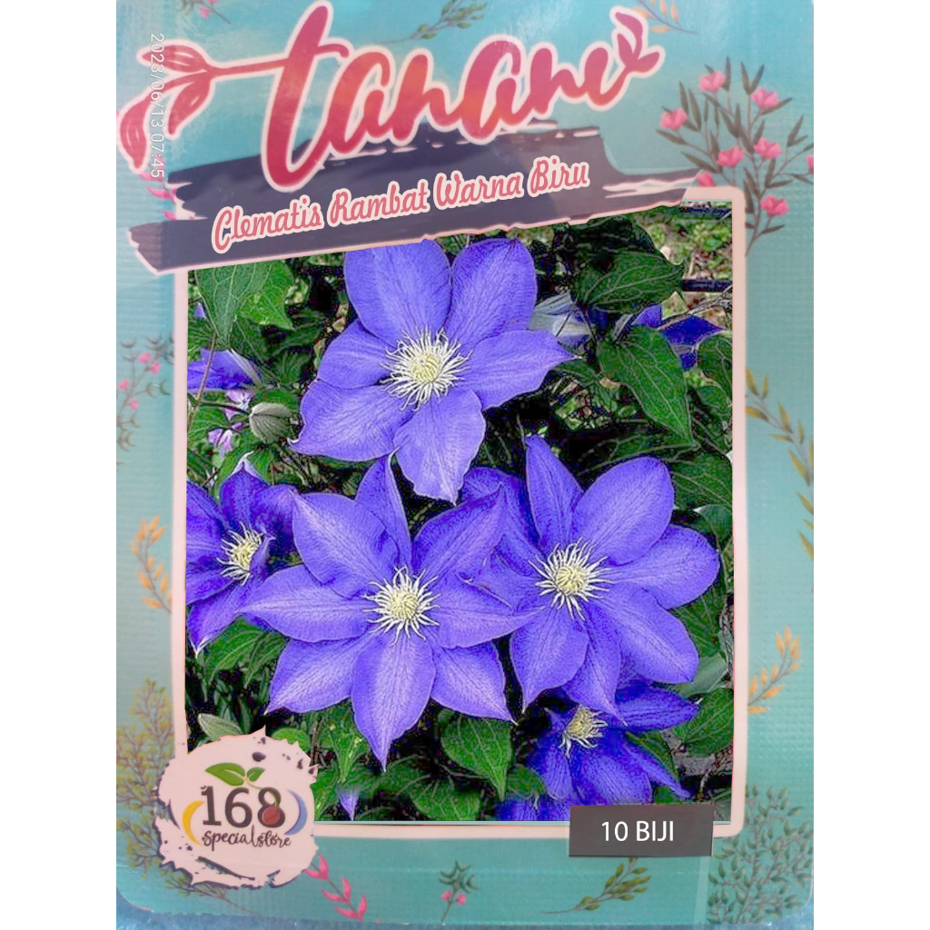 Jual Benih Bibit Biji Bunga Clematis Rambat Warna Biru (Isi 10 biji ...
