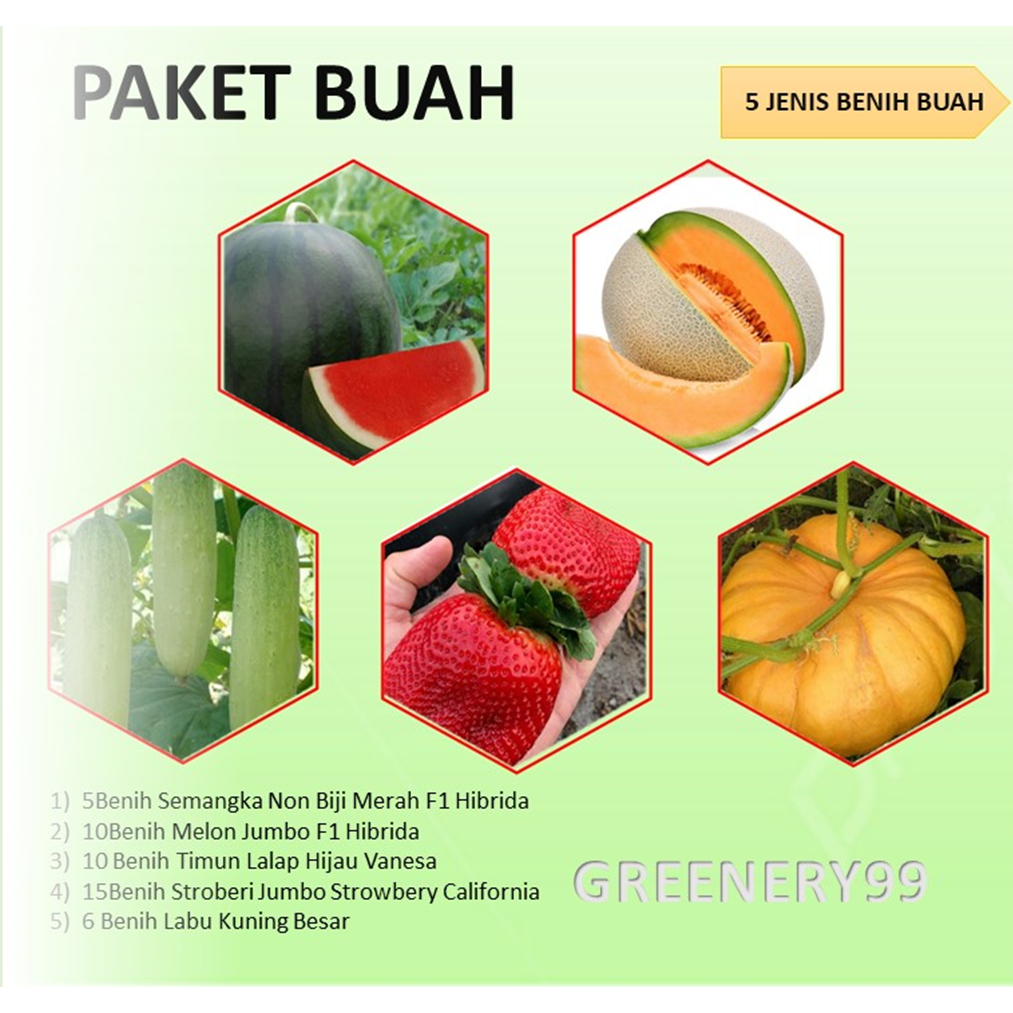 Jual jual benih tanaman buah bibit semangka melon strawberry timun ...