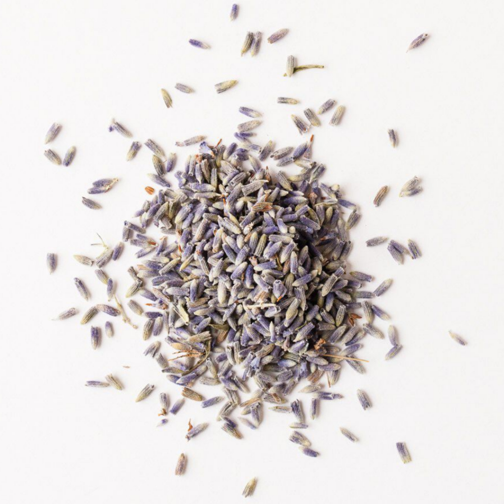 Jual Bunga Kering Dried Lavender 1kg | Shopee Indonesia