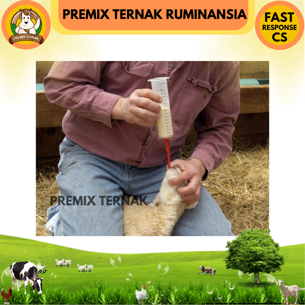 Jual KARET TUBING CEMPE ANAK KAMBING DOMBA - Alat untuk Memasukkan ...